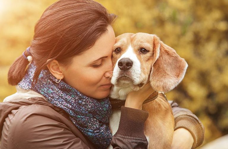 Pet Cancer Treatment That You Should Try Out As A Pet Owner Talk Pets pet-cancer-treatment-that-you-should-try-out-as-a-pet-owner-talk-pets